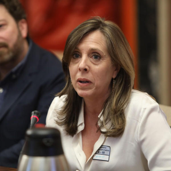 Incendios forestales y restauración de zonas quemadas | Oficina C